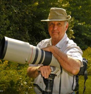 A Gathering of Bears: Photographer John Fast | easthartfordct